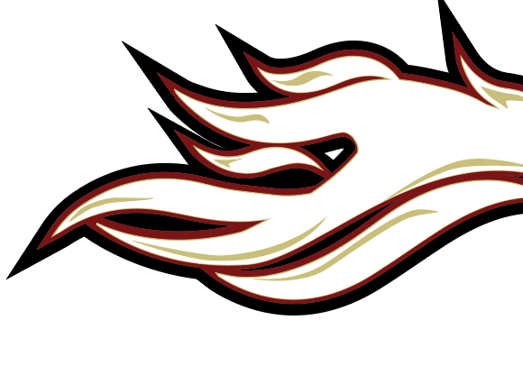 Creating the new Logo - Rhein Fire